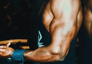 Bench Press Melatih Otot Apa | Magnus Fitness